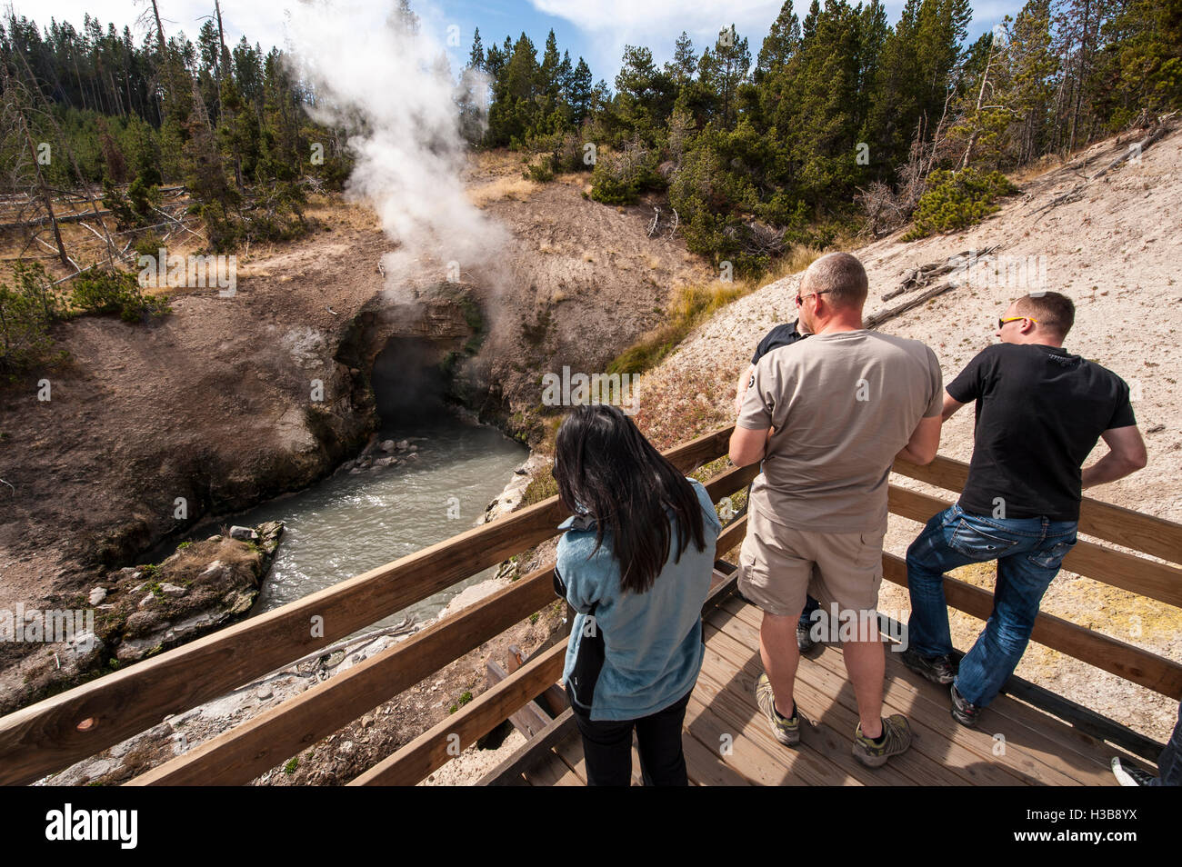 Visitors viewing Dragon's Mouth Spring, Mud Volcano Area Yellowstone ...