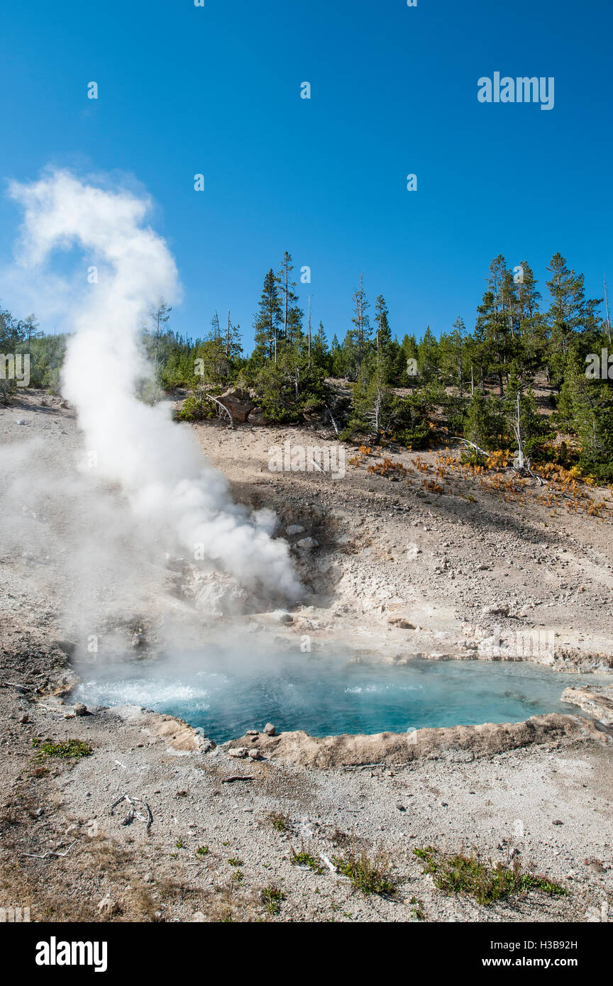 Geyser and boiling pool springs in Norris Geyser Basin, Yellowstone ...