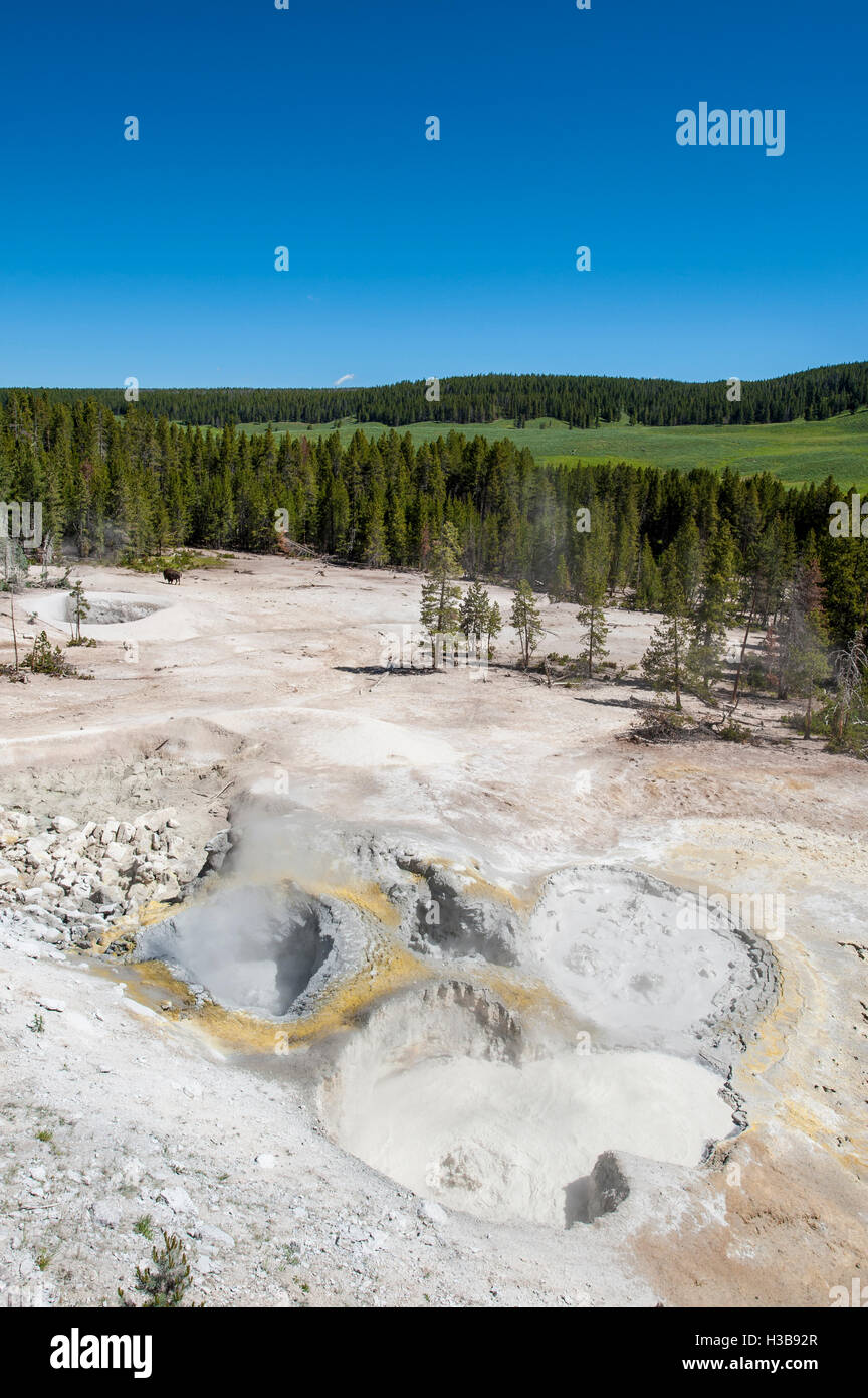 Geyser basin yellowstone national park hi-res stock photography and ...