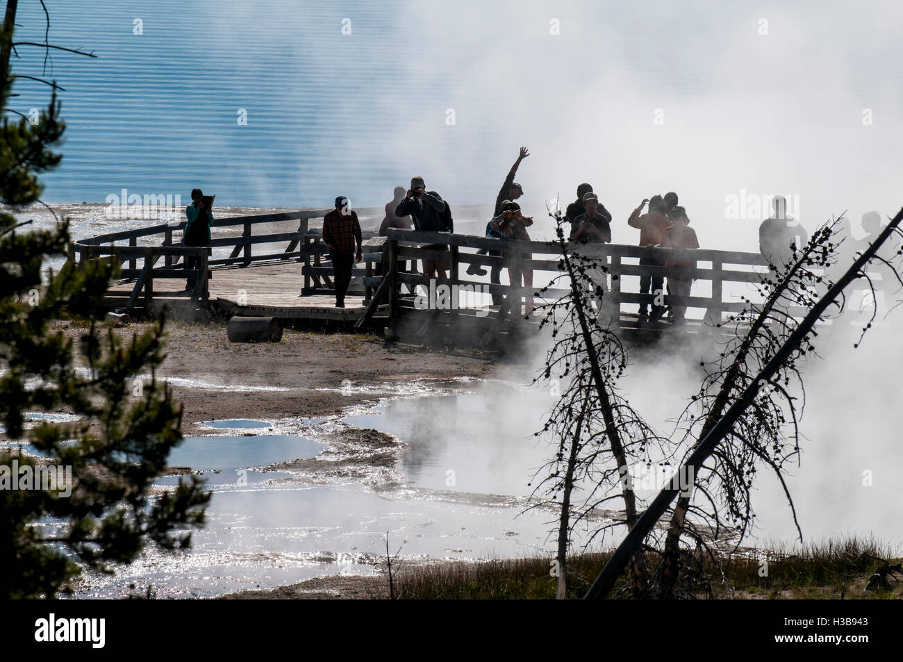 Visitors on boardwalk viewing geysers and boiling pools springs in West ...