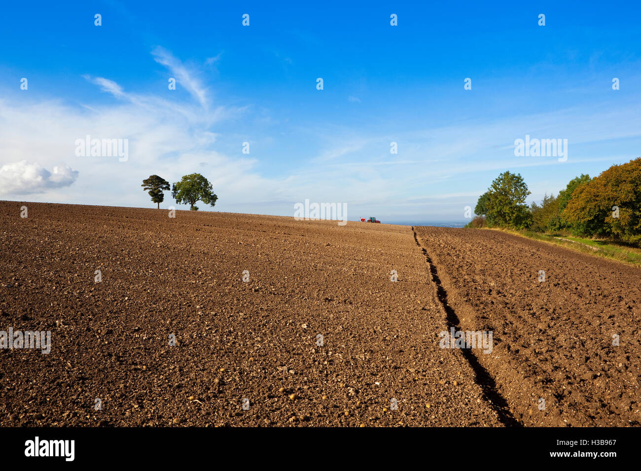Patterns and textures of plow soil with hillside trees under a blue sky ...