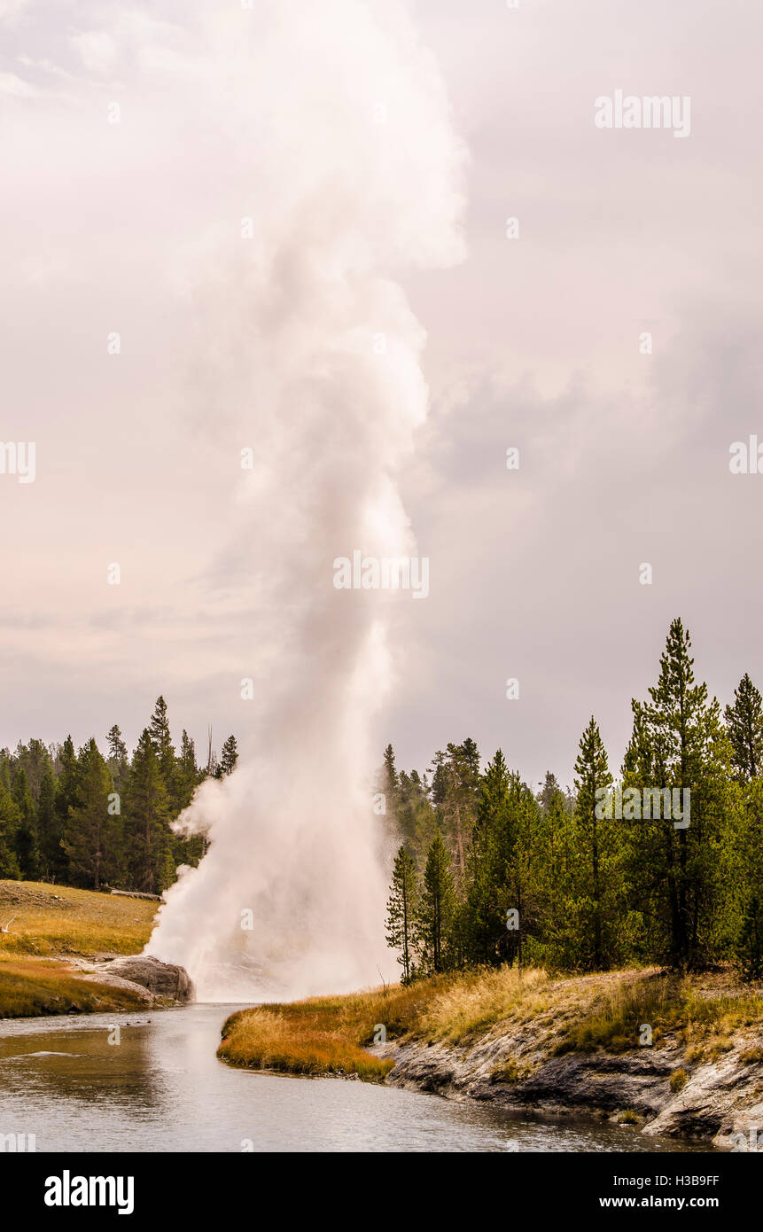 Yellowstone national park upper geyser basin hi-res stock photography ...