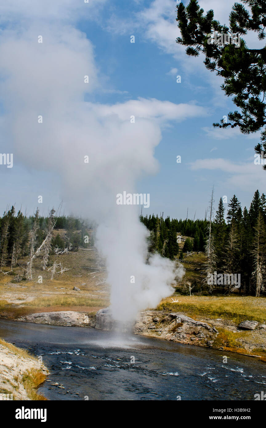 Riverside Geyser, Upper Geyser Basin Yellowstone National Park, Wyoming ...