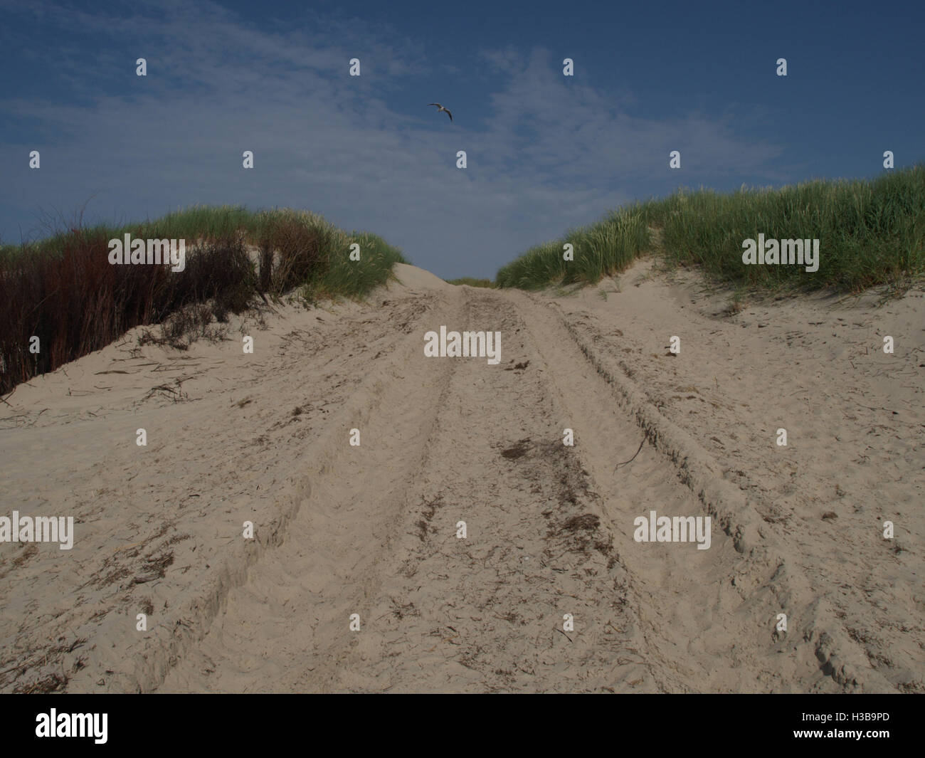 The beach of langeoog Stock Photo - Alamy