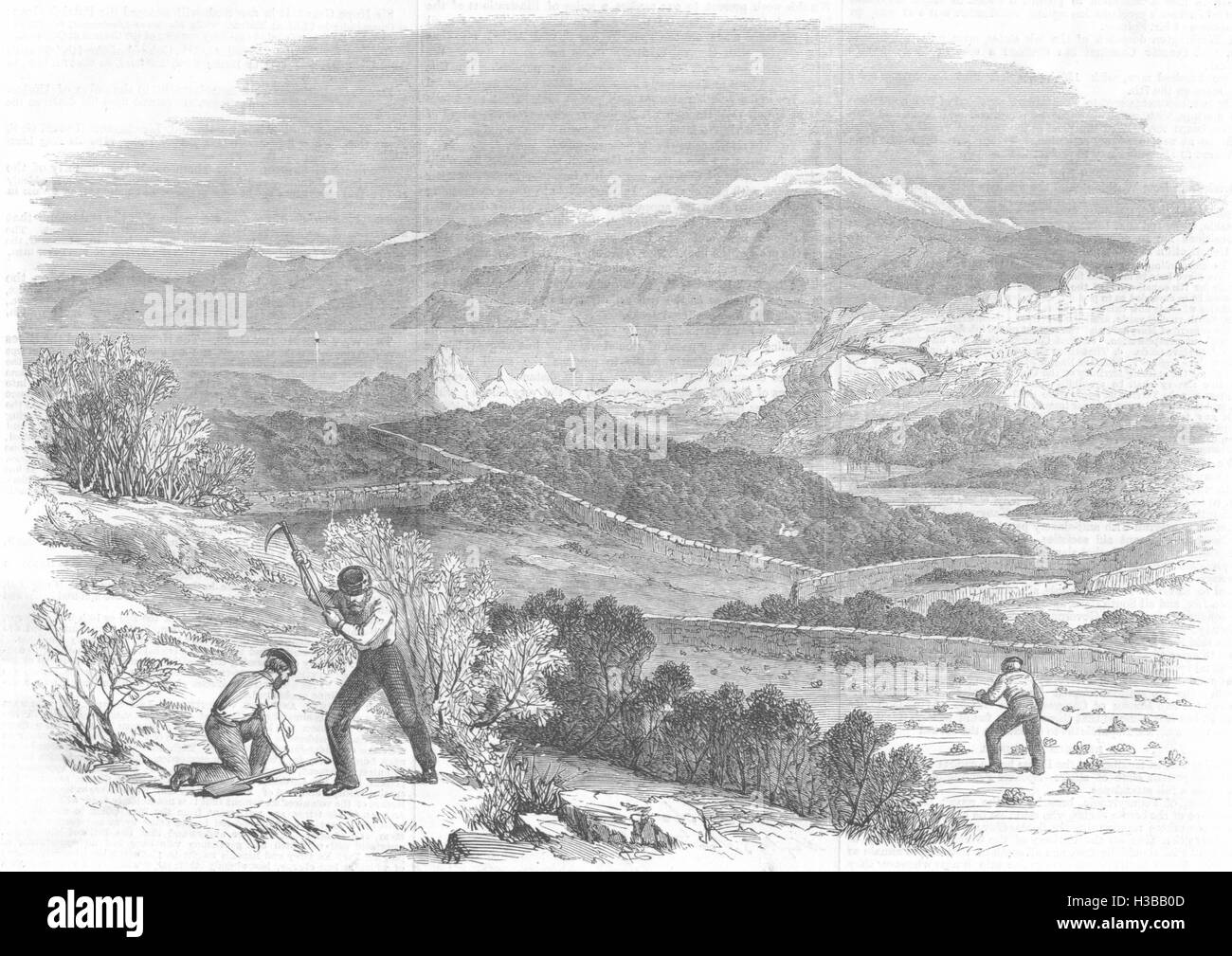 ITALY Scenes & Caprera Garibaldi Digging Roots in his Favourite garden ...