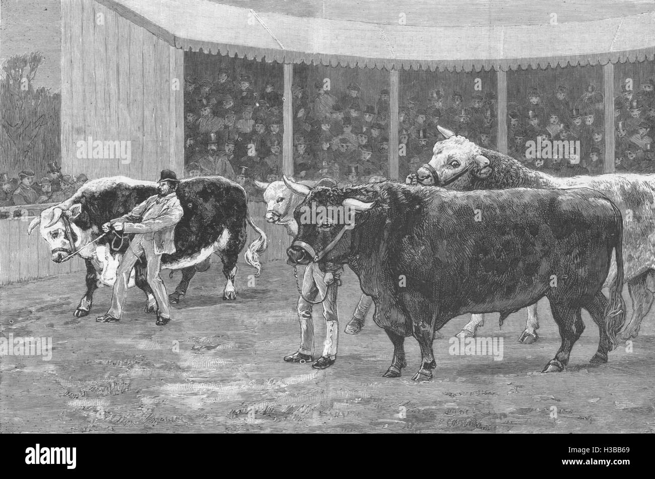 Consorts hi-res stock photography and images - Alamy