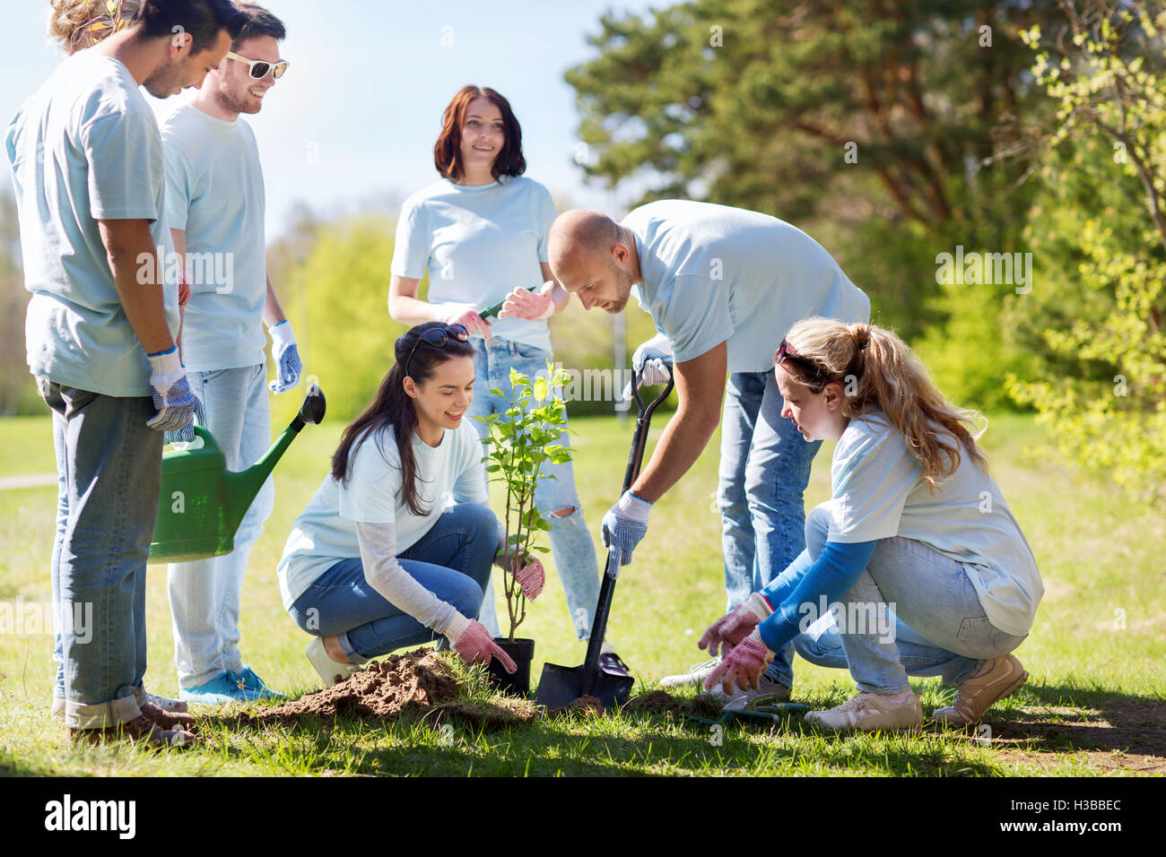 group of volunteers planting tree in park Stock Photo - Alamy