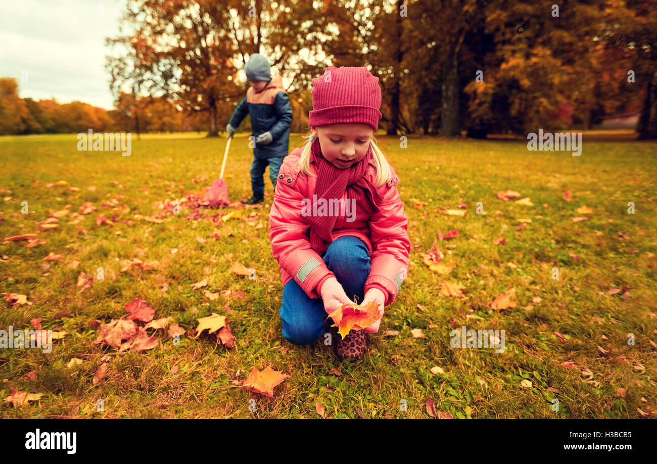 children collecting leaves in autumn park Stock Photo - Alamy