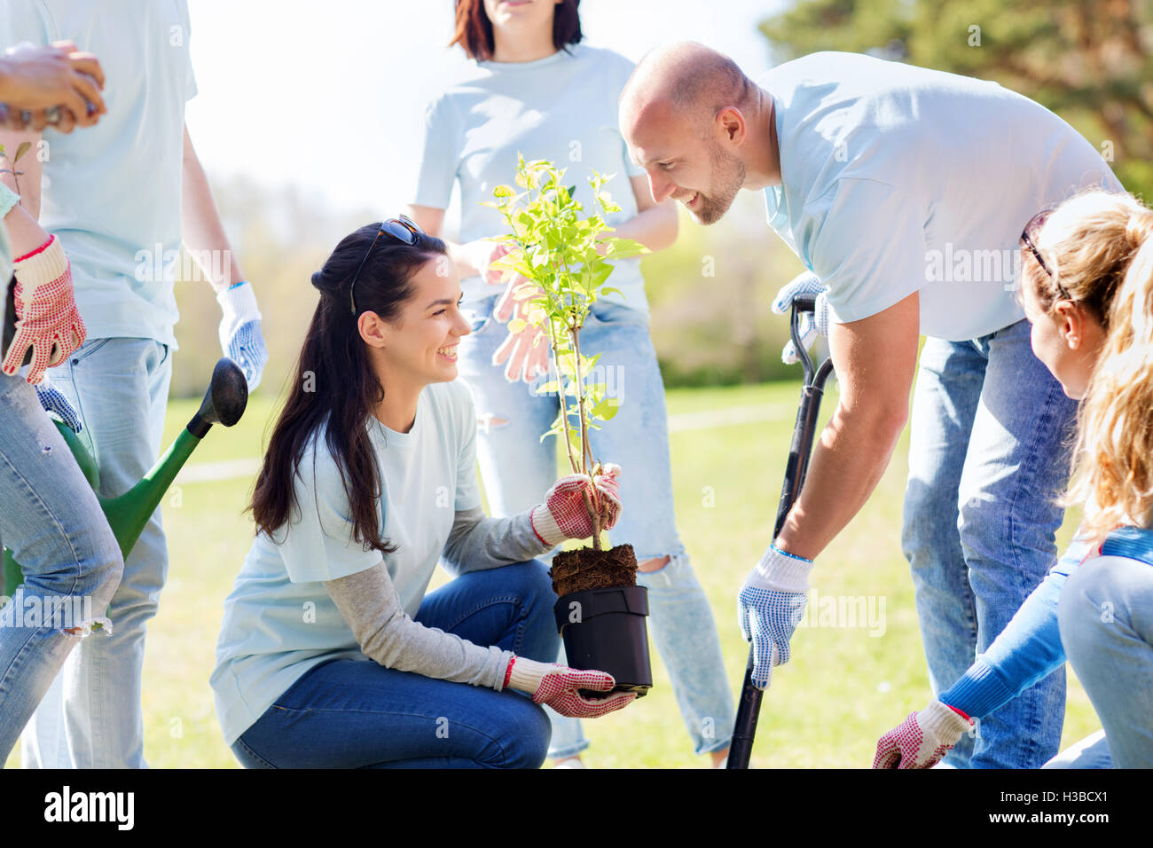 group of volunteers planting tree in park Stock Photo - Alamy