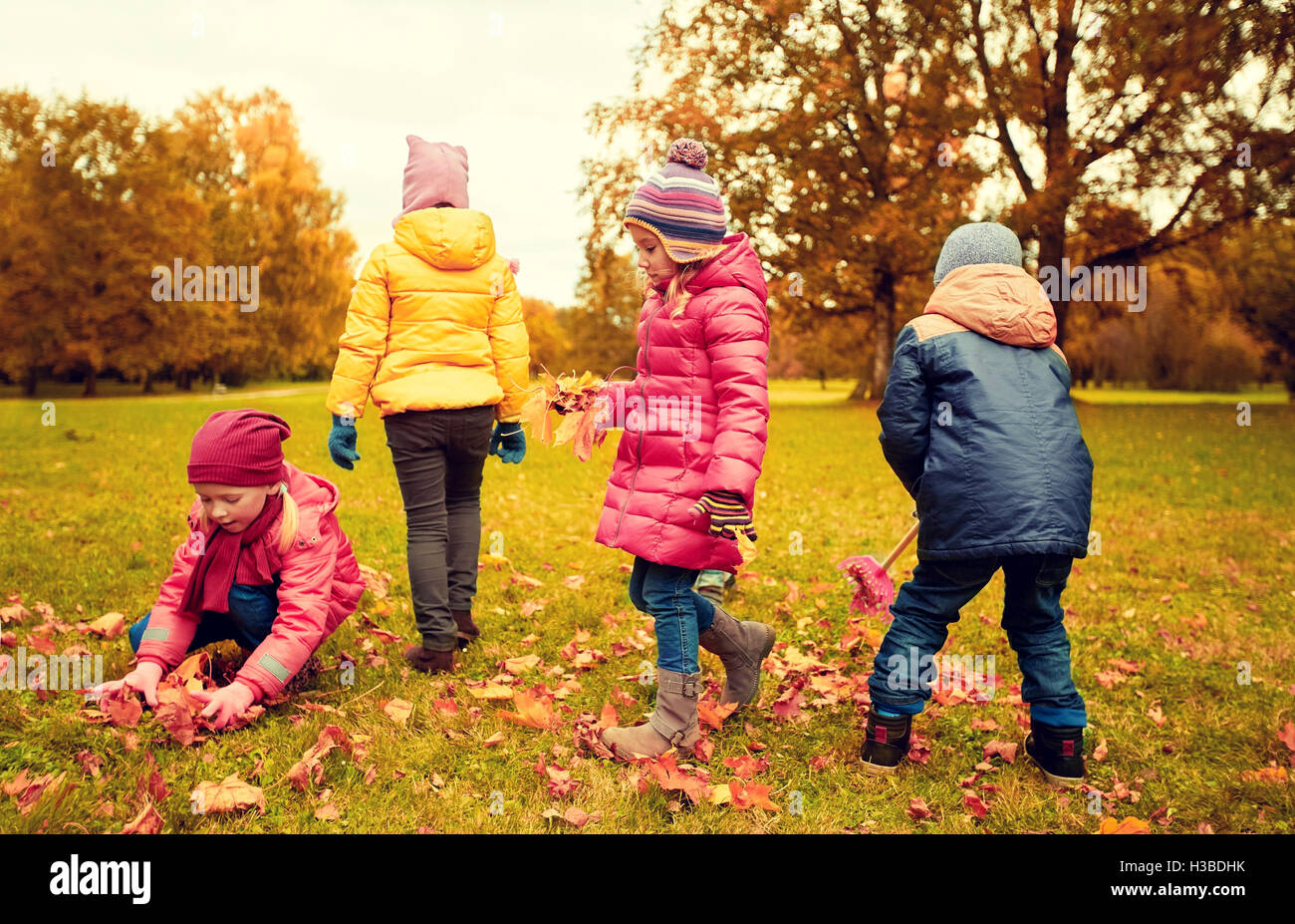 group of children collecting leaves in autumn park Stock Photo - Alamy
