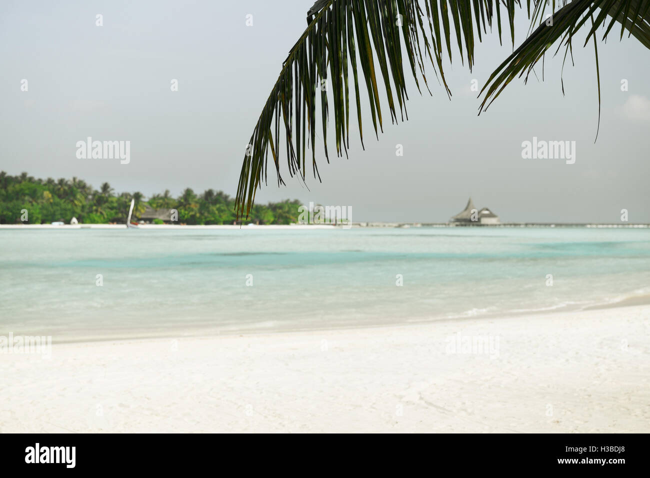 maldives island beach with palm tree and villa Stock Photo - Alamy
