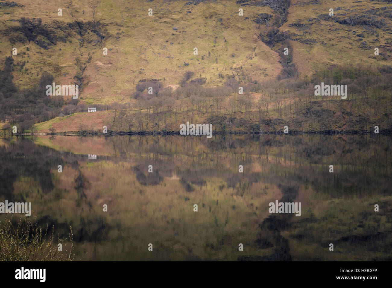 Beautiful landscape in scottish hi-res stock photography and images - Alamy