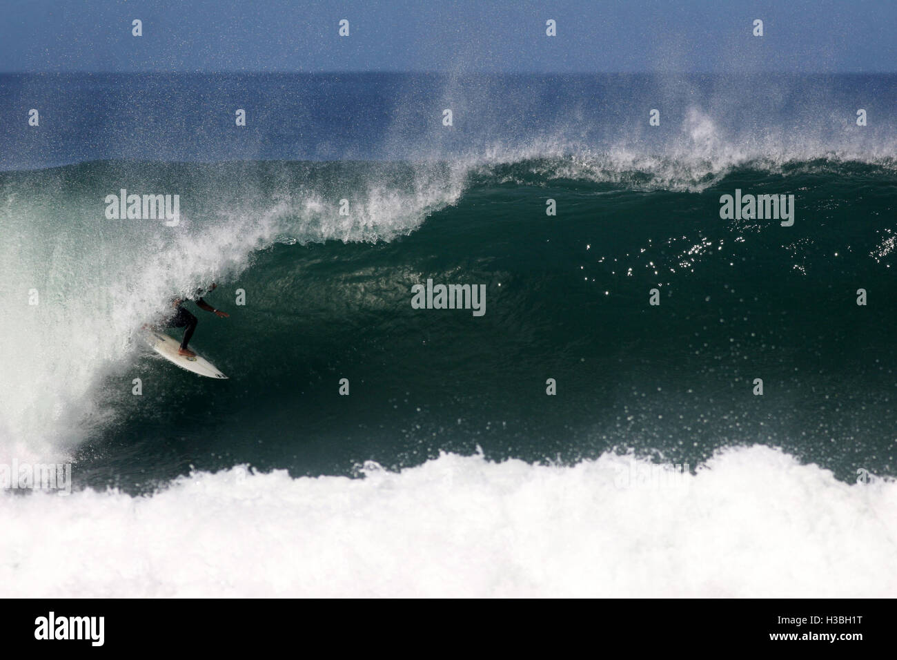 Surfer riding a barreling wave Stock Photo - Alamy