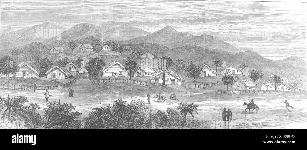 TRIBAL Maori village of wairoa, destroyed by the volcanic eruption 1886 ...