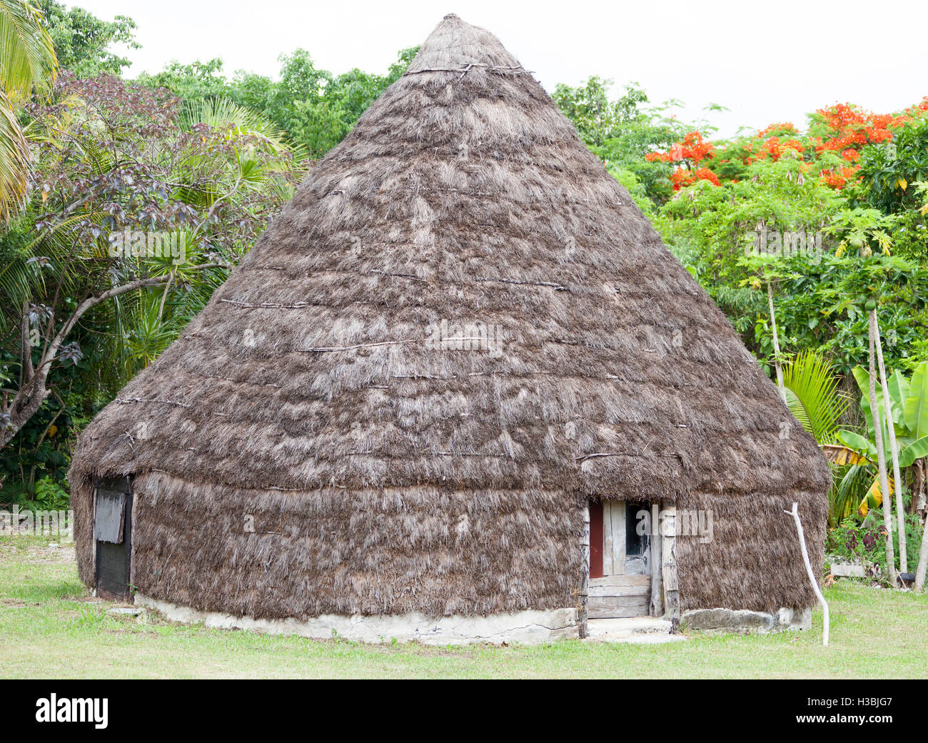 Island Hut Island Supply By Sunglass Hut