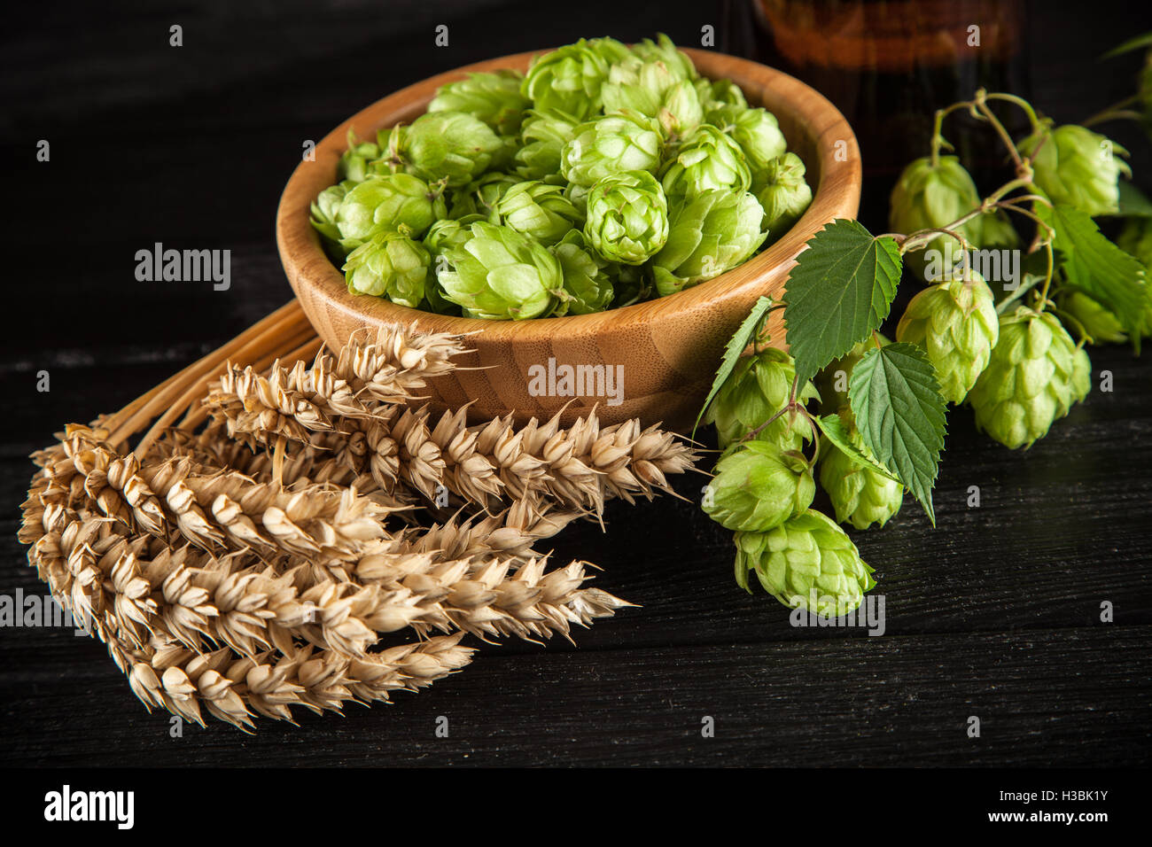 Malt and hops Stock Photo - Alamy