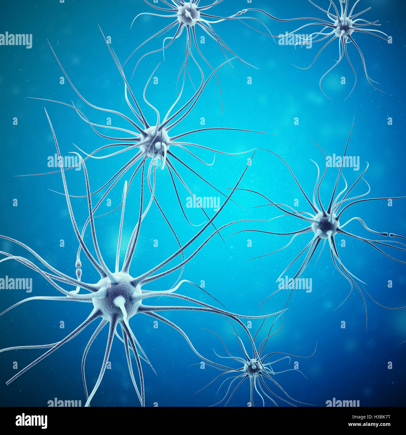 Neurobiology Of Rett Syndrome A Genetic Disorder Of Synapse