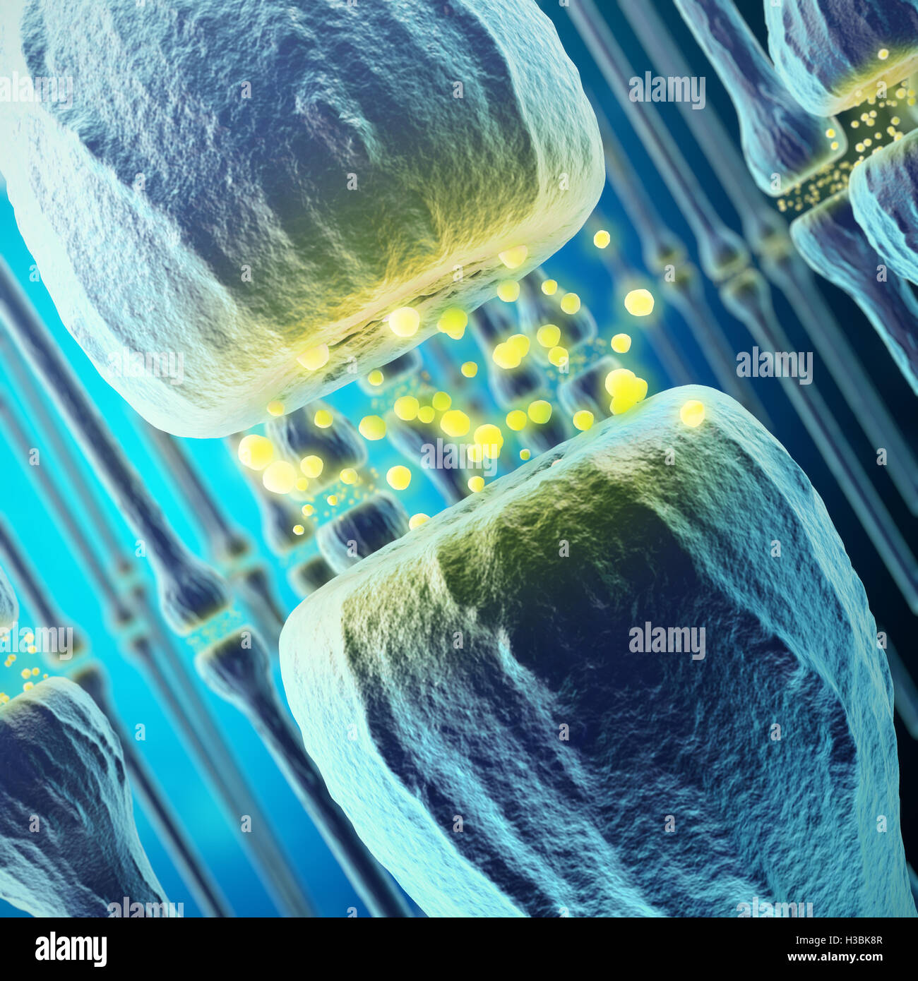 Synaptic transmission, human nervous system. 3d rendering Stock Photo ... Synaptic transmission, human nervous system. 3d rendering Stock Photo ...