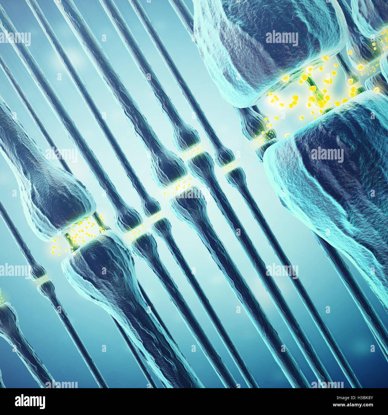 Synaptic transmission, human nervous system. 3d rendering Stock Photo ...