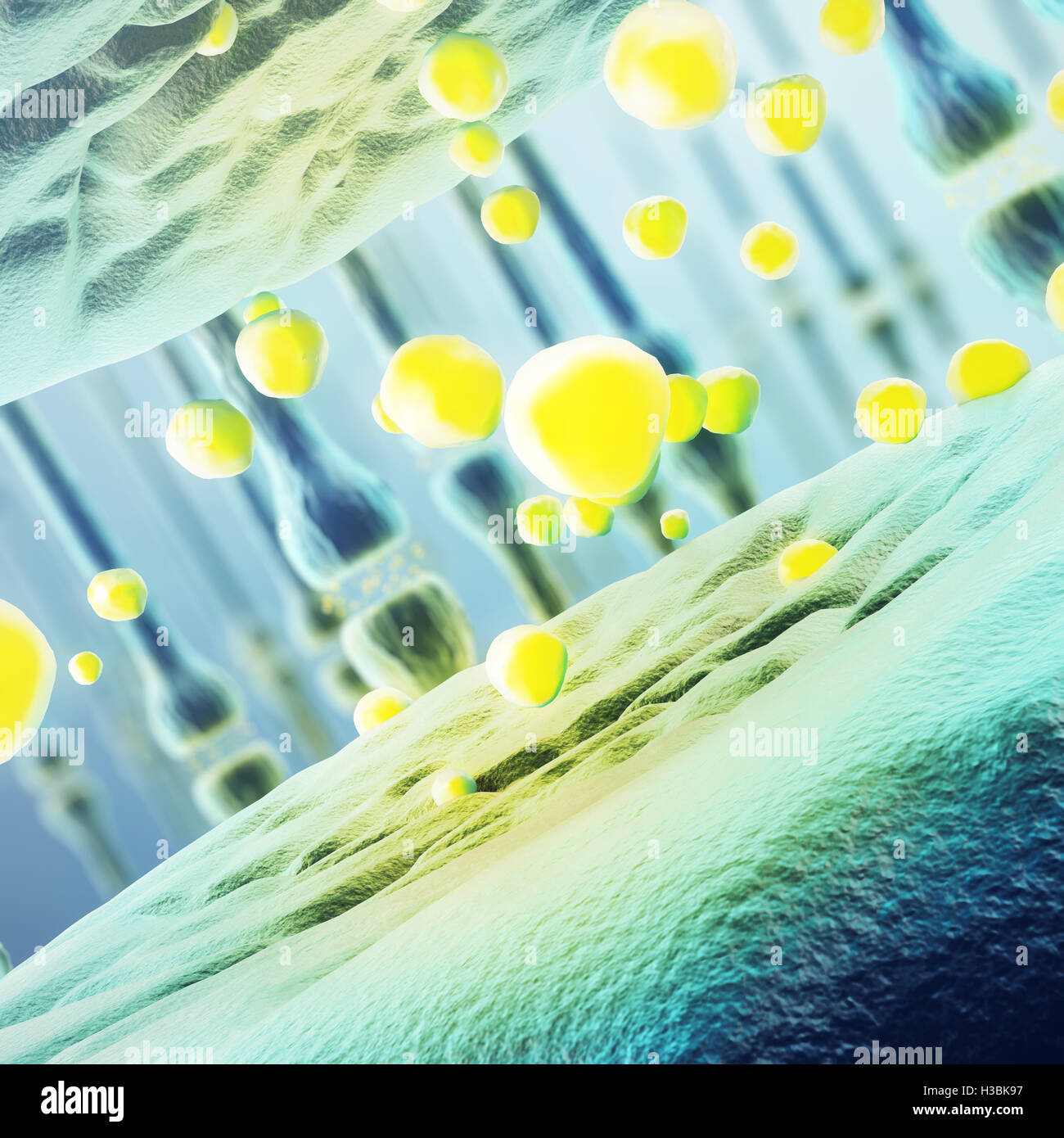 Synaptic transmission, human nervous system. 3d rendering Stock Photo ...