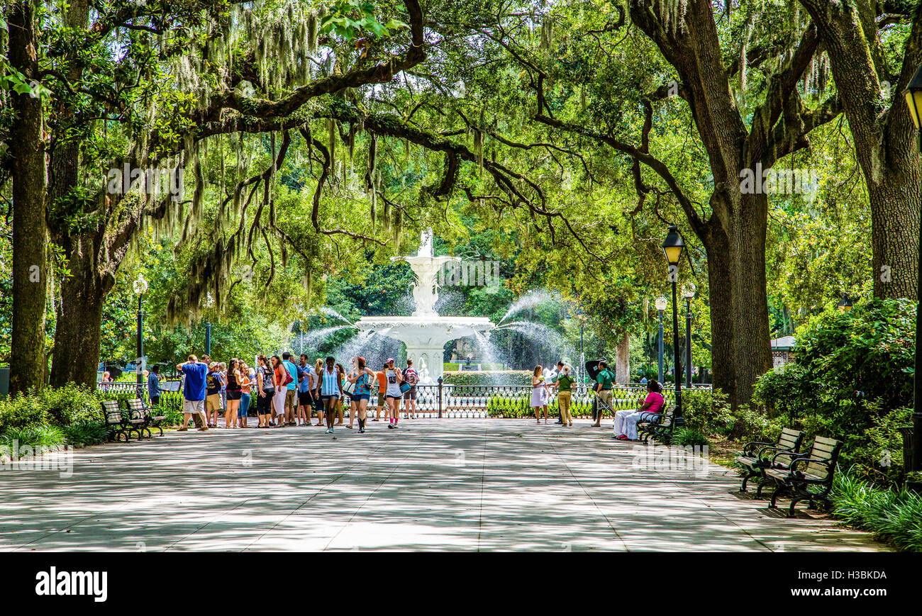 Path in savannah sun hi-res stock photography and images - Alamy