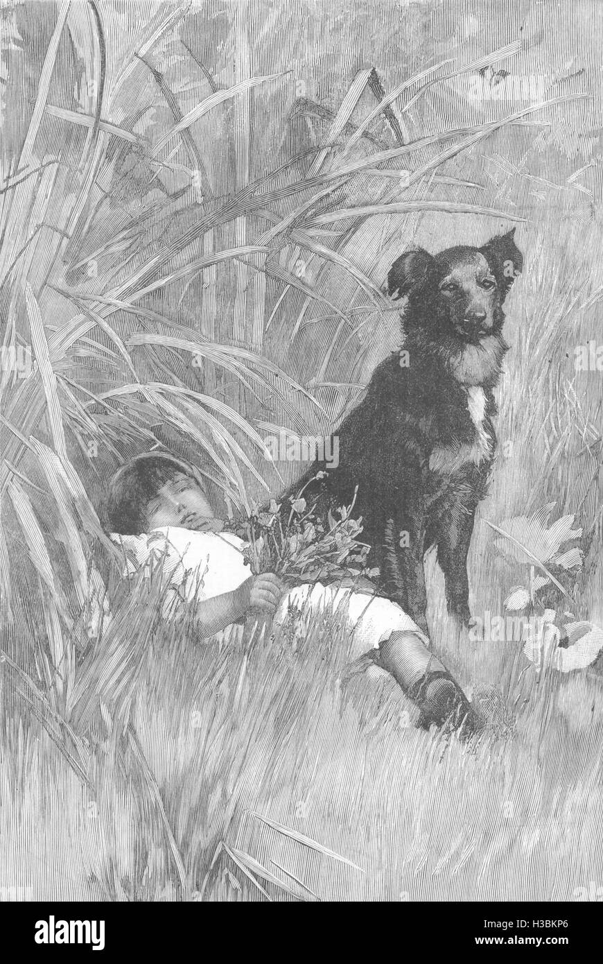 DOGS On Guard. Dog guarding dozing child 1887. The Illustrated London ...
