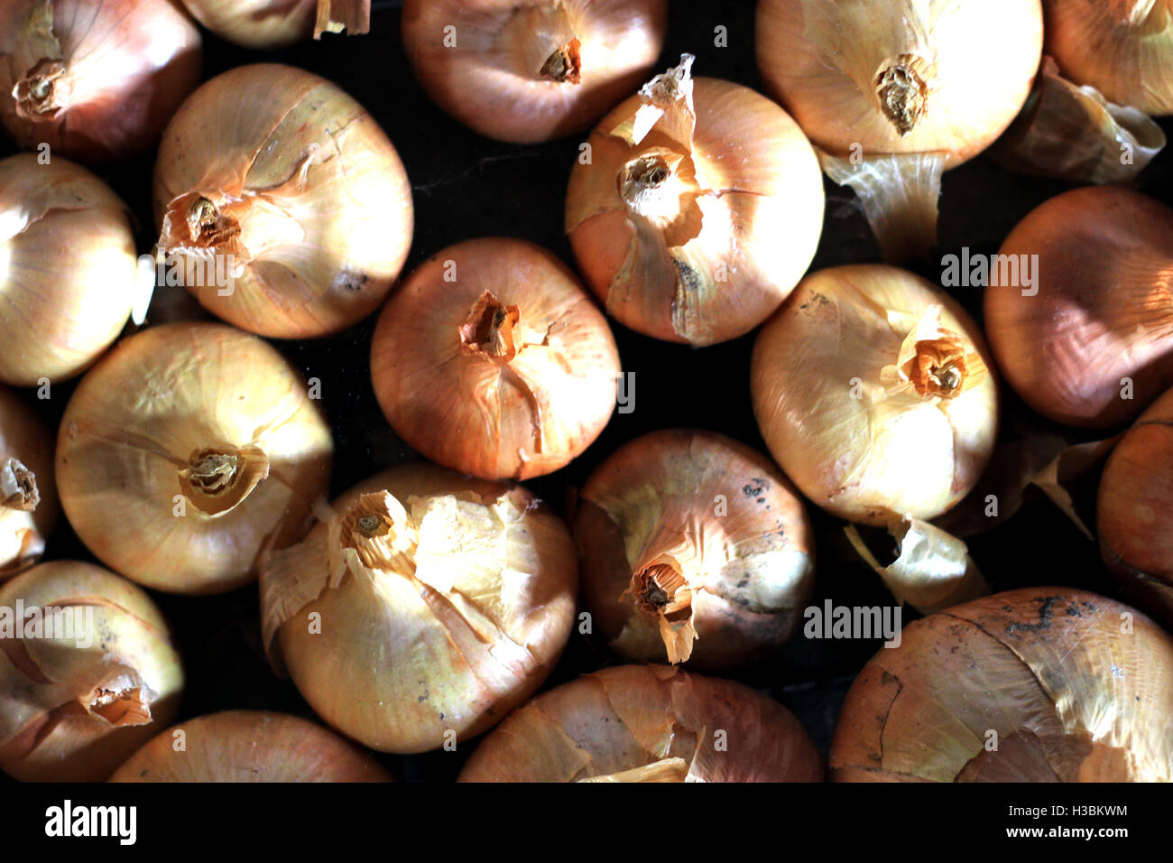 Curing onion hi-res stock photography and images - Alamy
