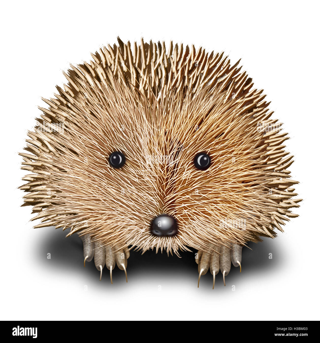 Spiky hedge Cut Out Stock Images & Pictures - Alamy