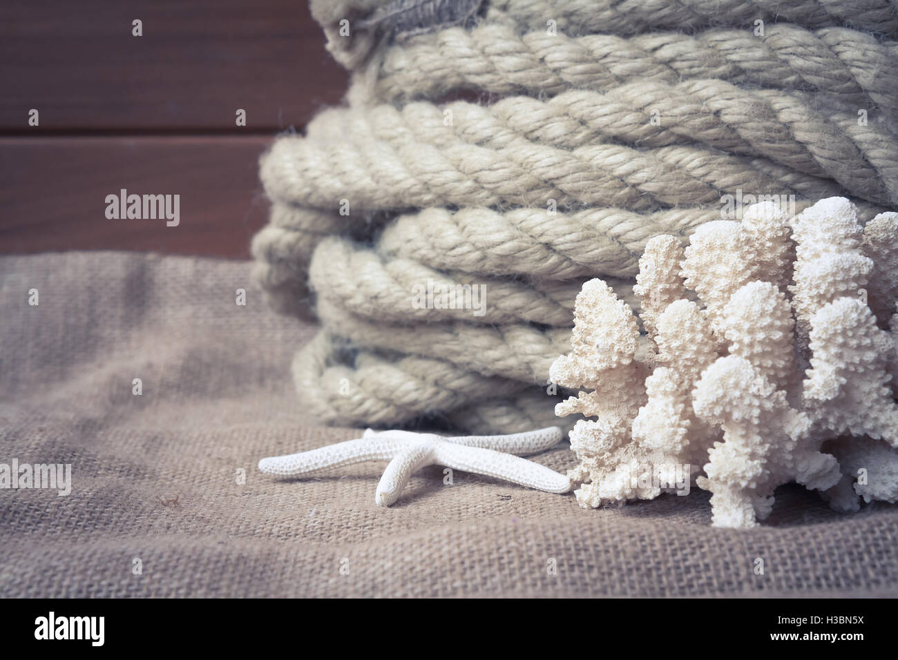 Vintage travel still life with rope, starfish and coral on old wooden ...