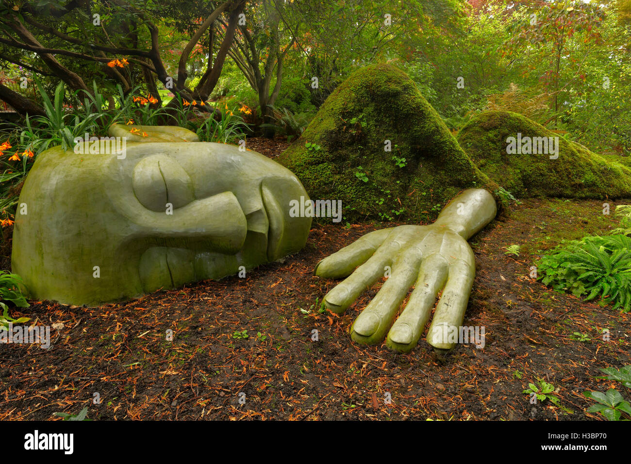 Moss Lady sleeping in Beacon Hill Park-Victoria, British Columbia ...