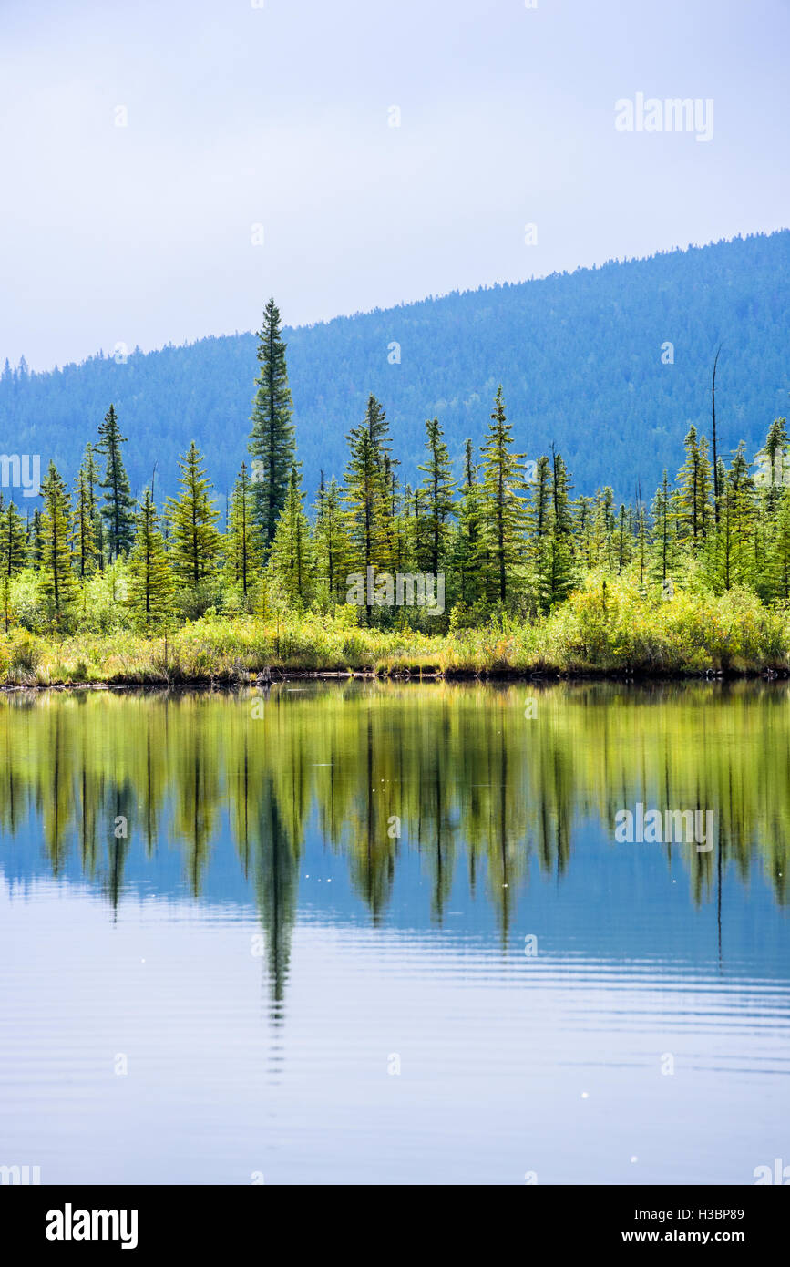 Vermillion Lake Reflections Stock Photo - Alamy