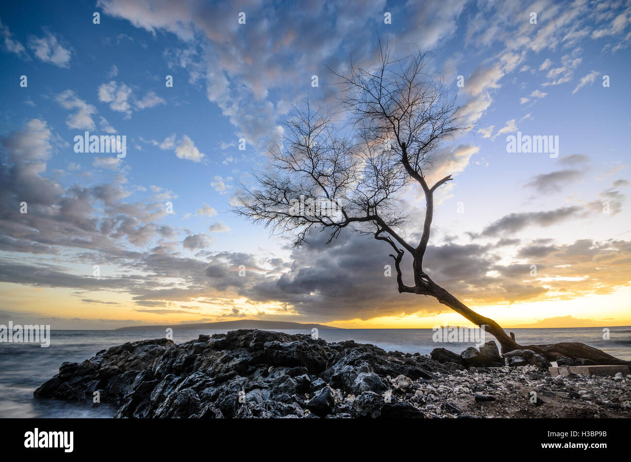 Sunset at beach in wailea maui hi-res stock photography and images - Alamy