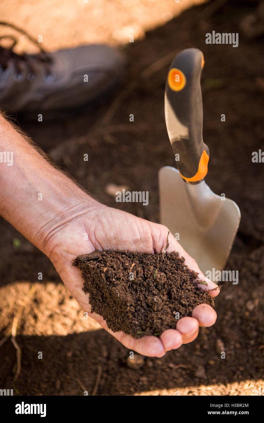 Hand dirt hi-res stock photography and images - Alamy