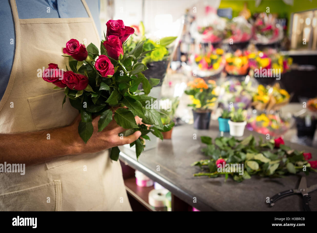 Potted roses shop hi-res stock photography and images - Alamy