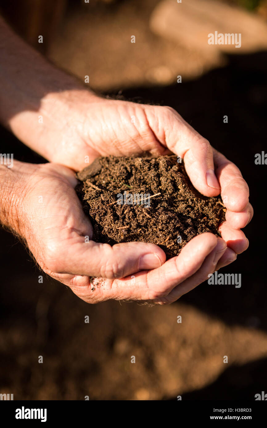 Hands dirt hi-res stock photography and images - Alamy