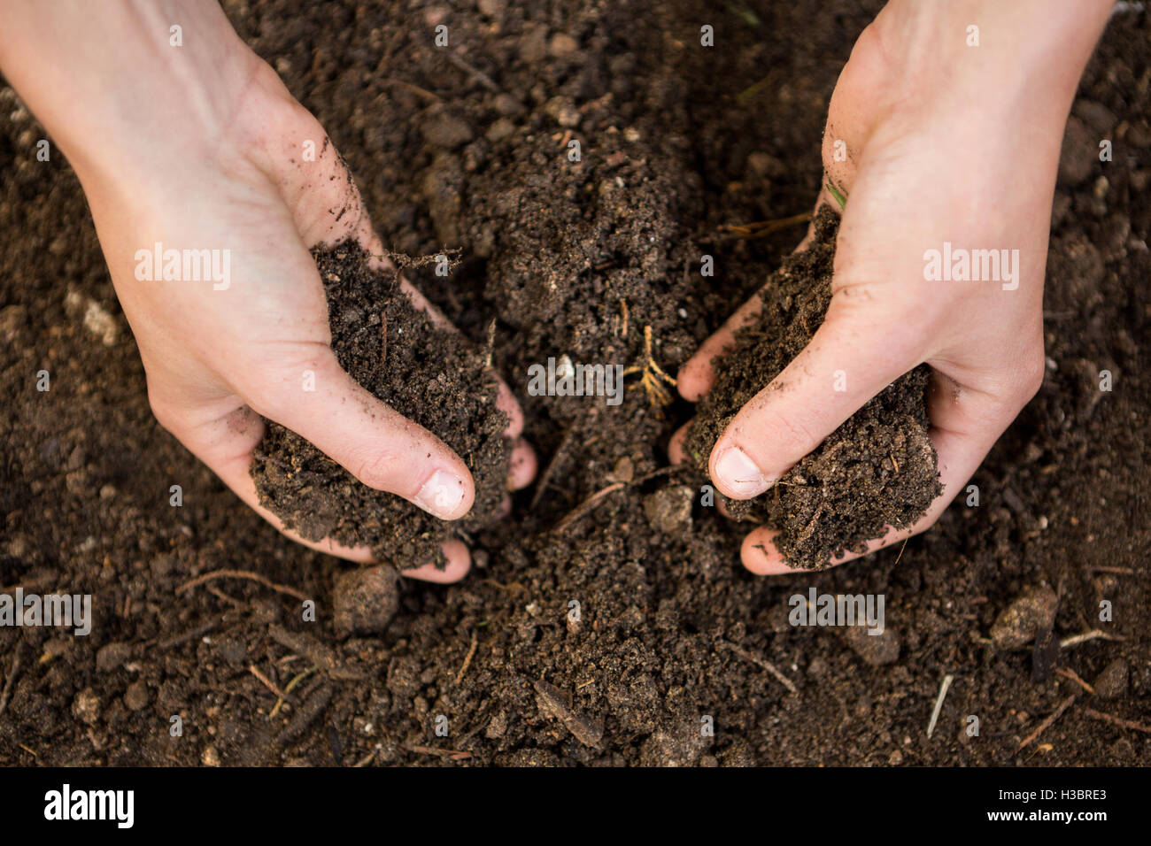 High angle view of gardener picking dirt at garden Stock Photo - Alamy