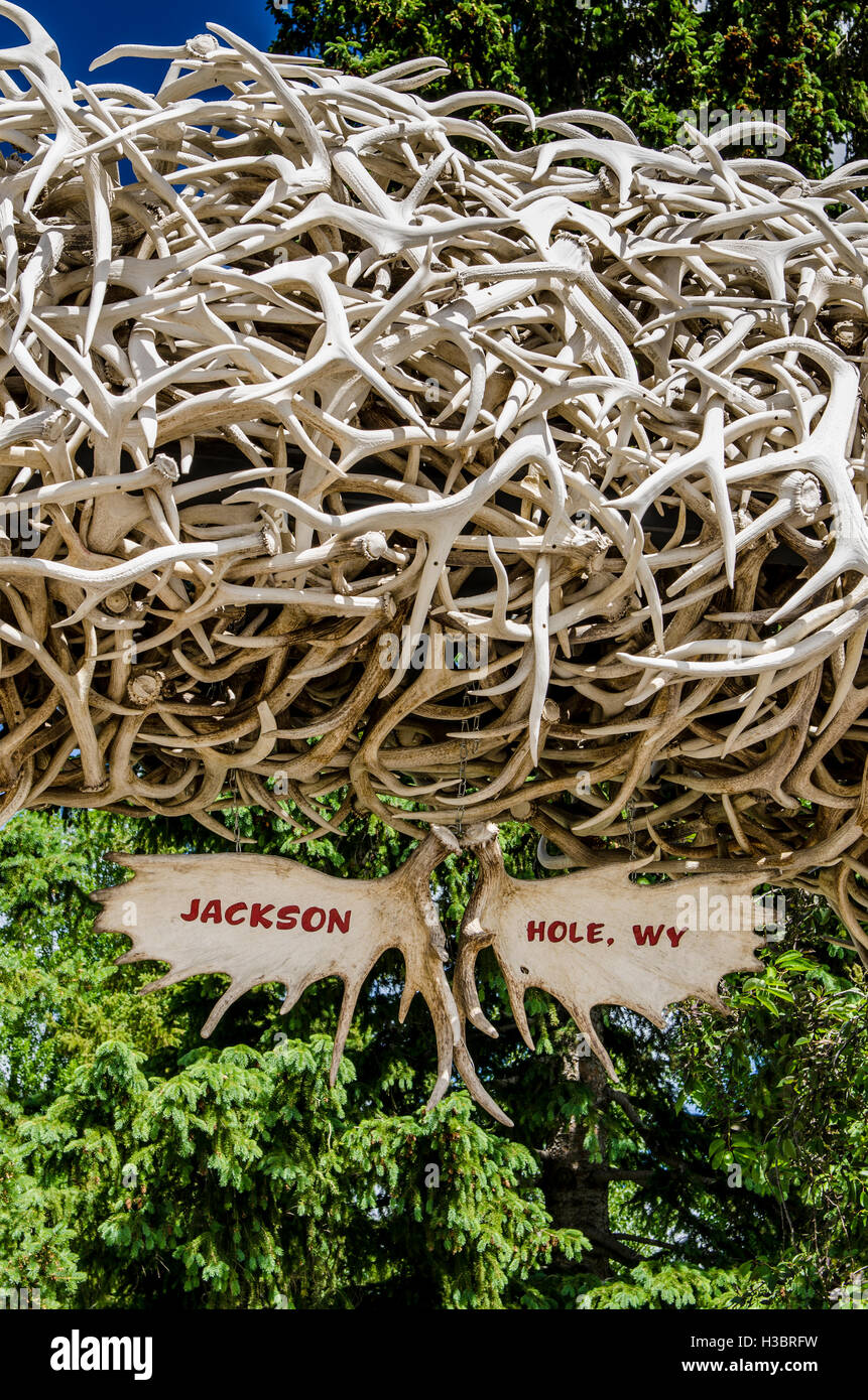 Elk antler hi-res stock photography and images - Alamy