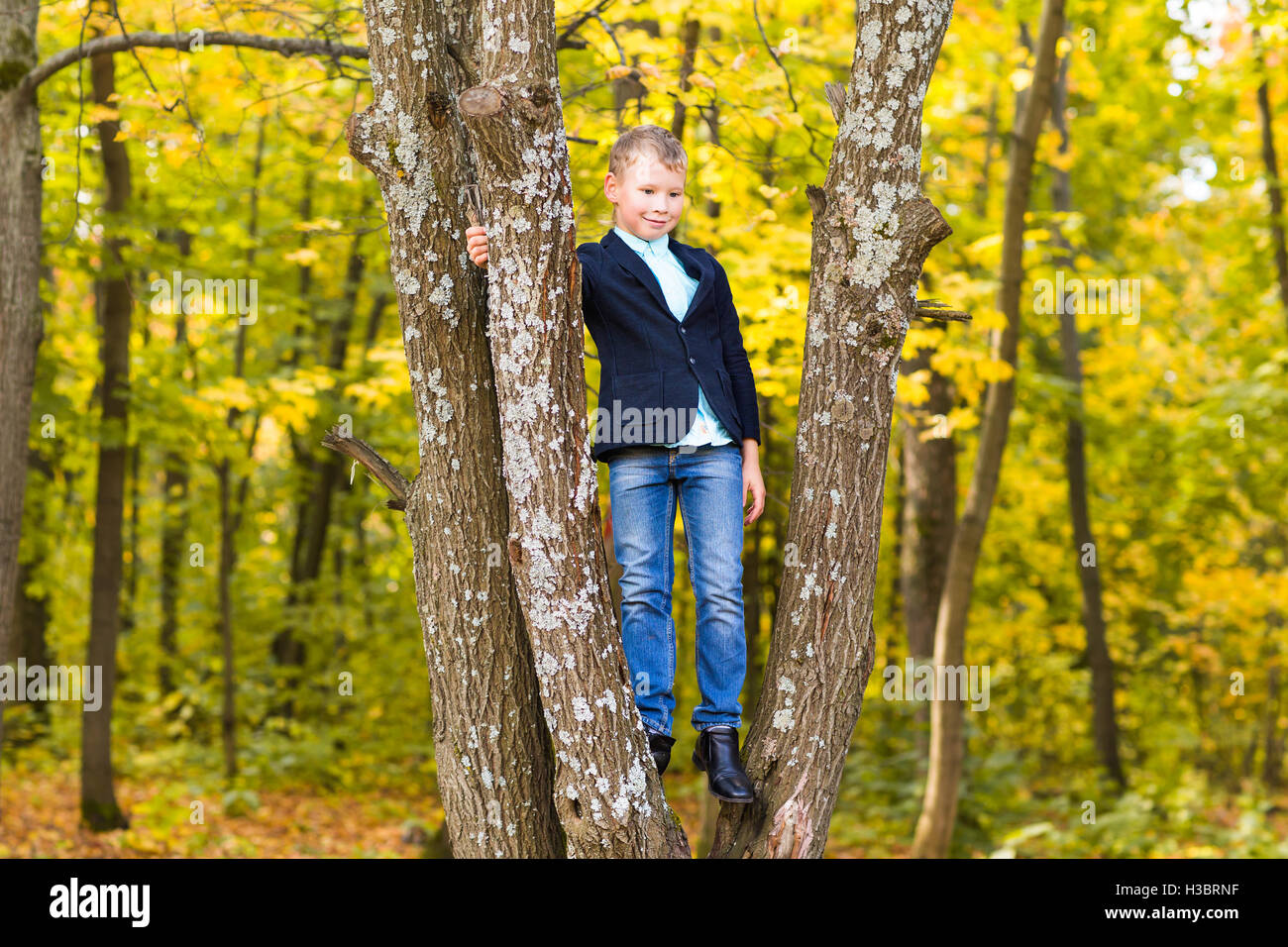 Smiling boy climbed in a tree in park Stock Photo - Alamy
