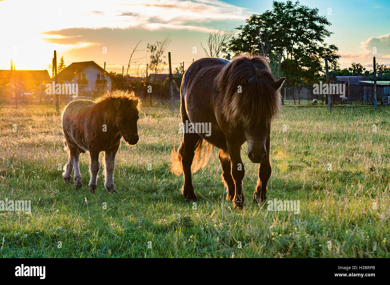 Two flares hi-res stock photography and images - Alamy