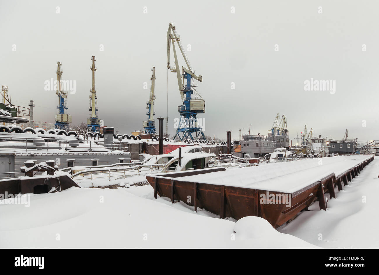 Night view of harbor cranes on the waterfront of the port covered with ...
