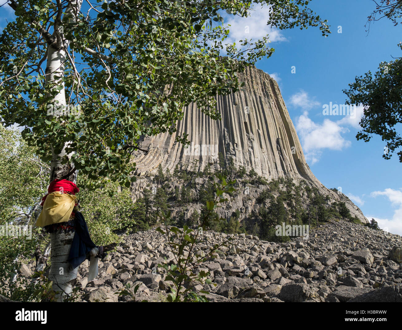 Lakota Indian Prayer Tree The Sun Dance – Wiwáŋyaŋg Wačípi