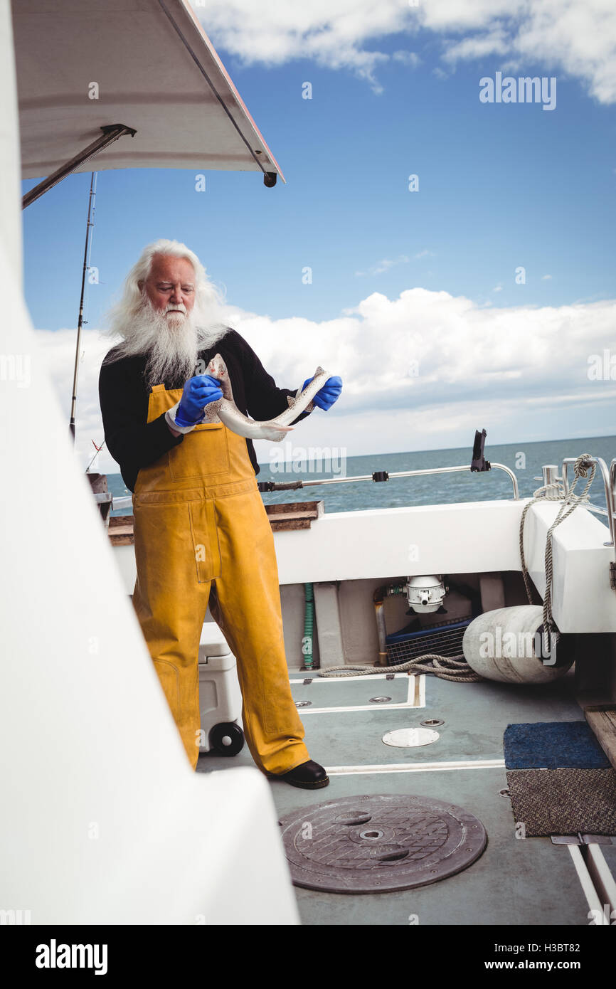 Fisherman holding fish Stock Photo - Alamy