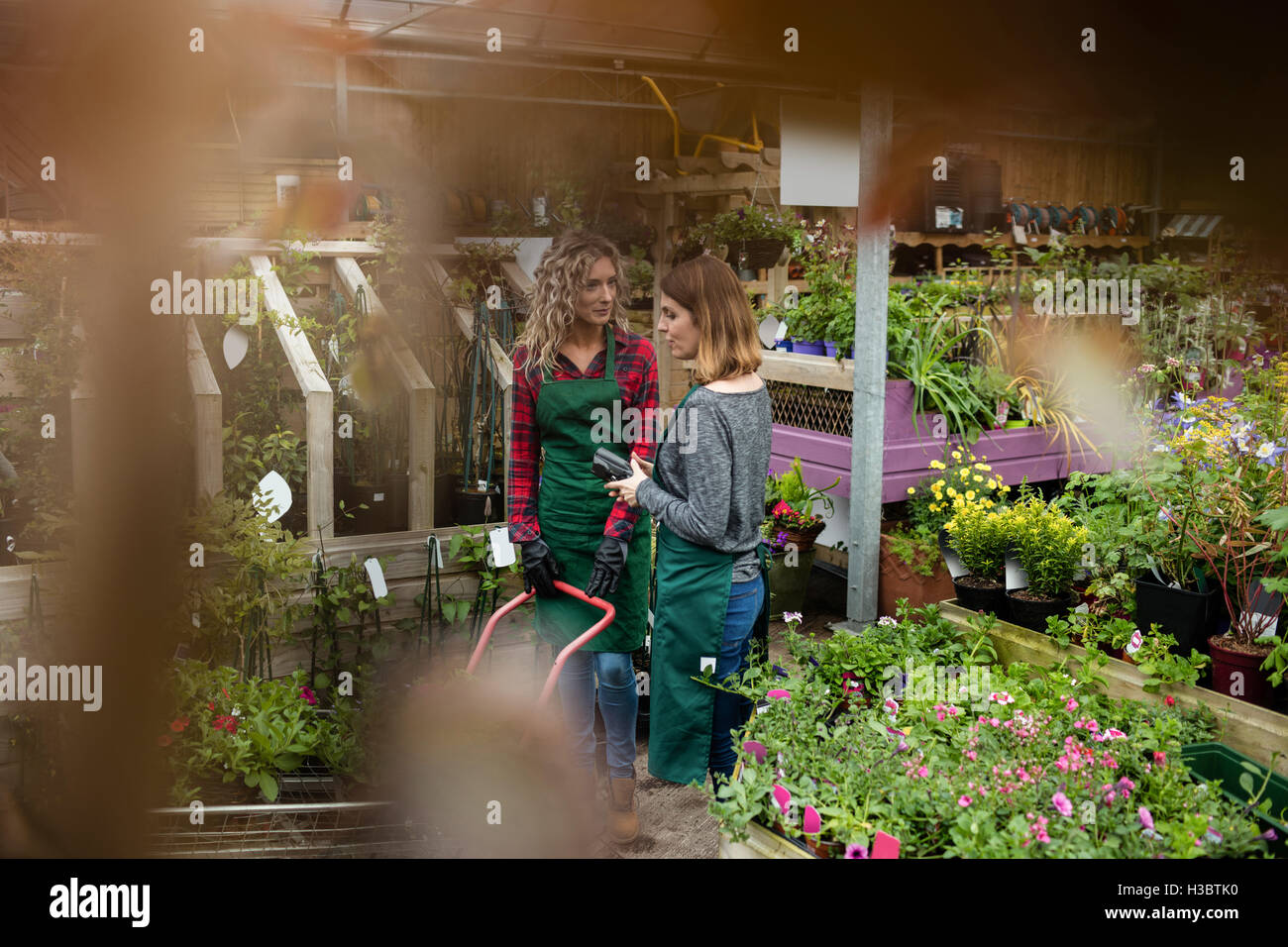 Flowers talking hi-res stock photography and images - Alamy