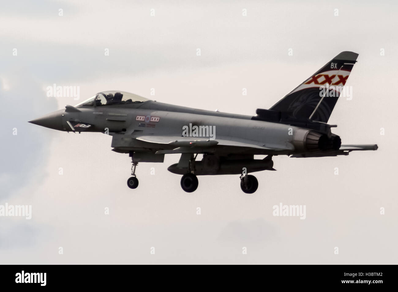 Eurofighter typhoon twin engine canard delta wing hi-res stock ...