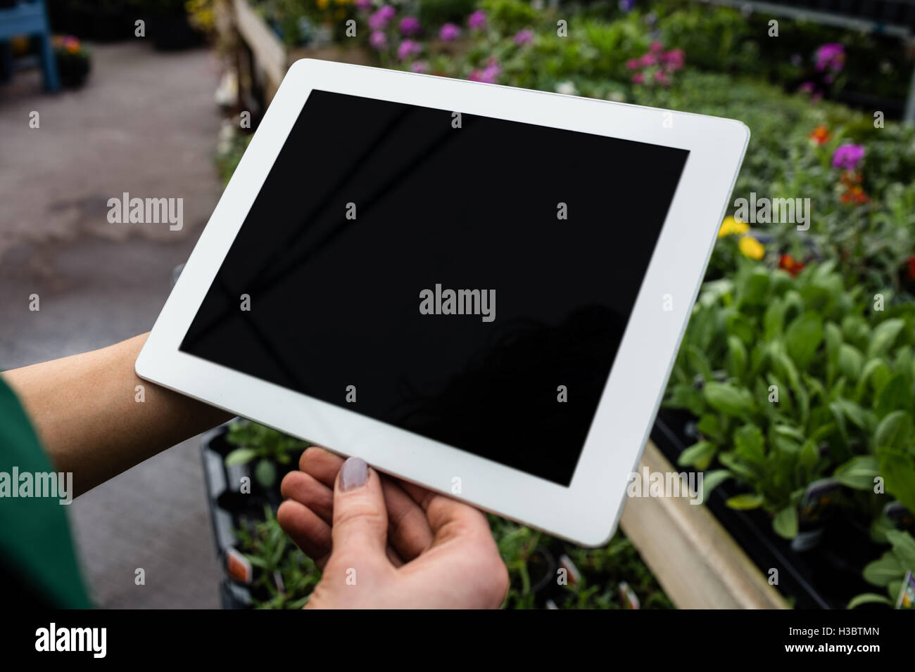 Female florist using digital tablet Stock Photo - Alamy