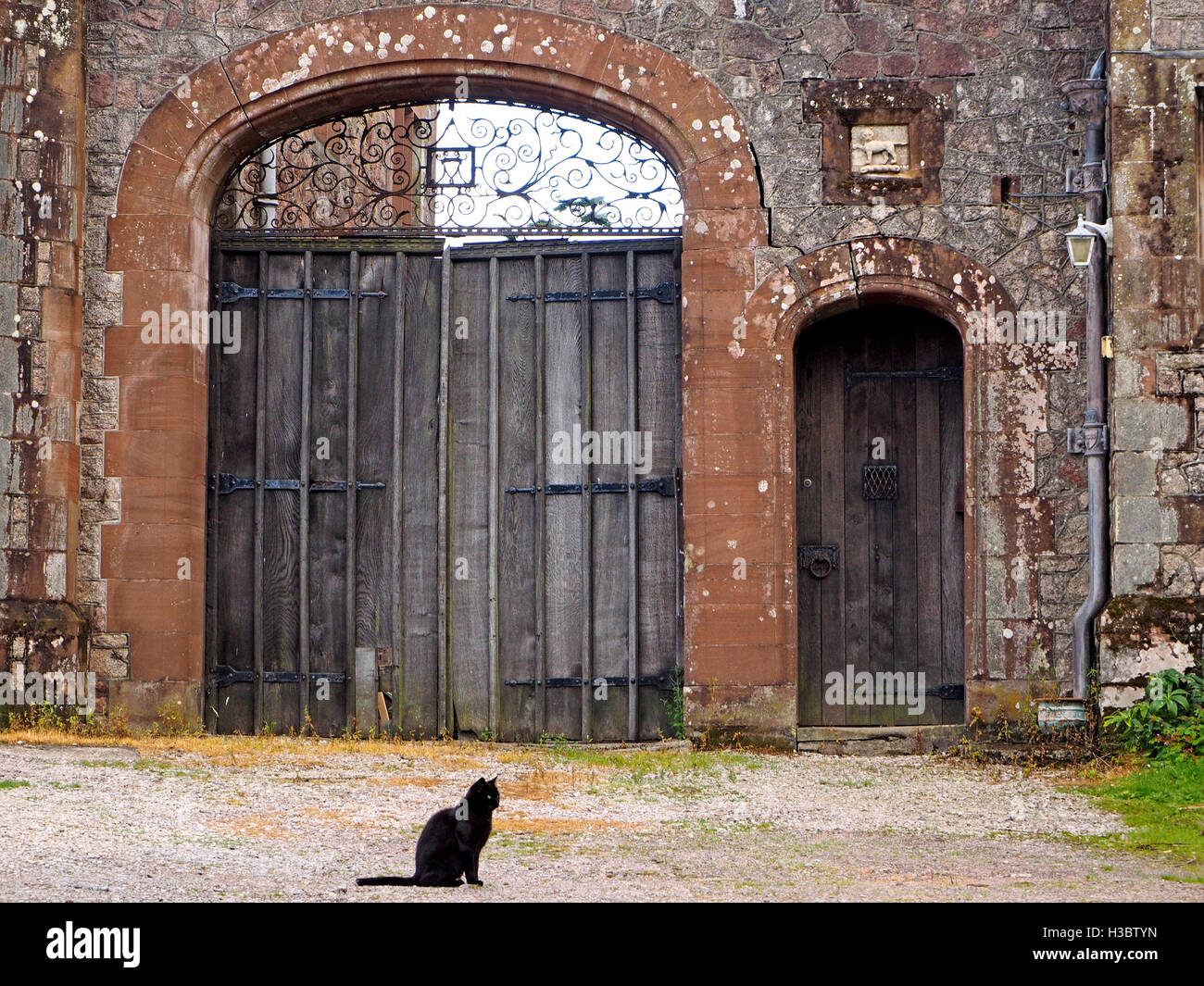 black cat by gates of historic Muncaster Castle Cumbria with ancient ...
