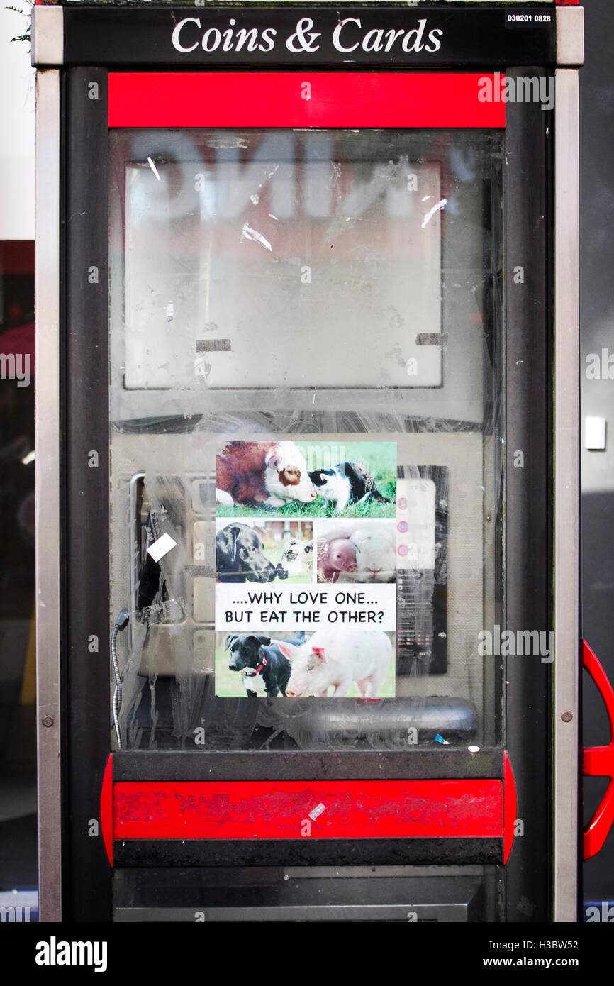 A telephone call box with adverts on windows Stock Photo - Alamy