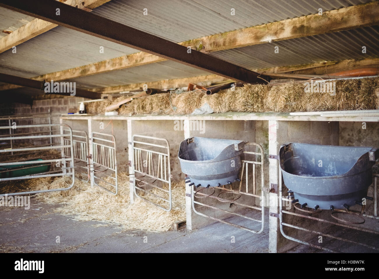 Food container hi-res stock photography and images - Alamy