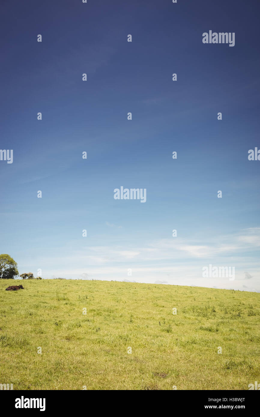Beautiful farm view hi-res stock photography and images - Alamy