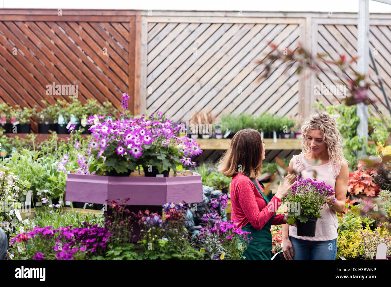 Florist showing flowers to woman Stock Photo - Alamy